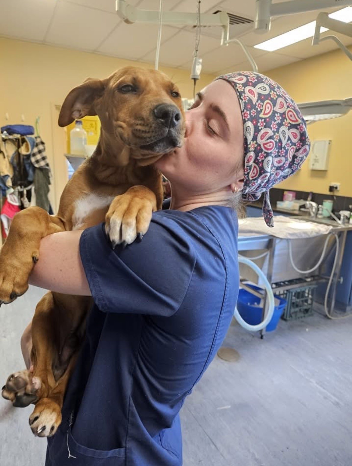 Job: Small Animal Vet. Baldivis Vet Hospital, Western Australia - Jobs ...