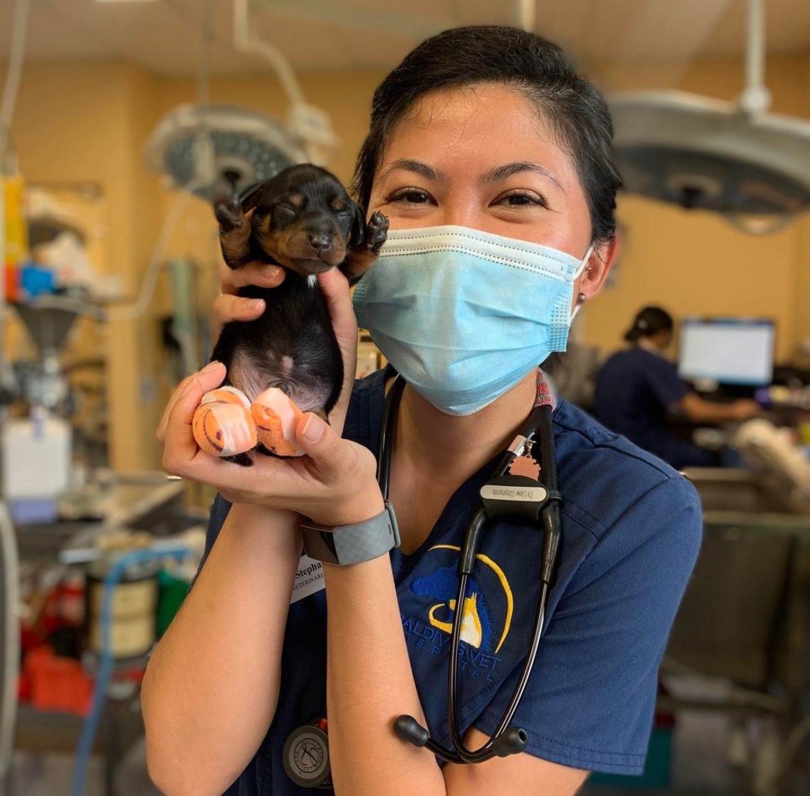Job: Small Animal Vet. Baldivis Vet Hospital, City of Rockingham - Jobs ...