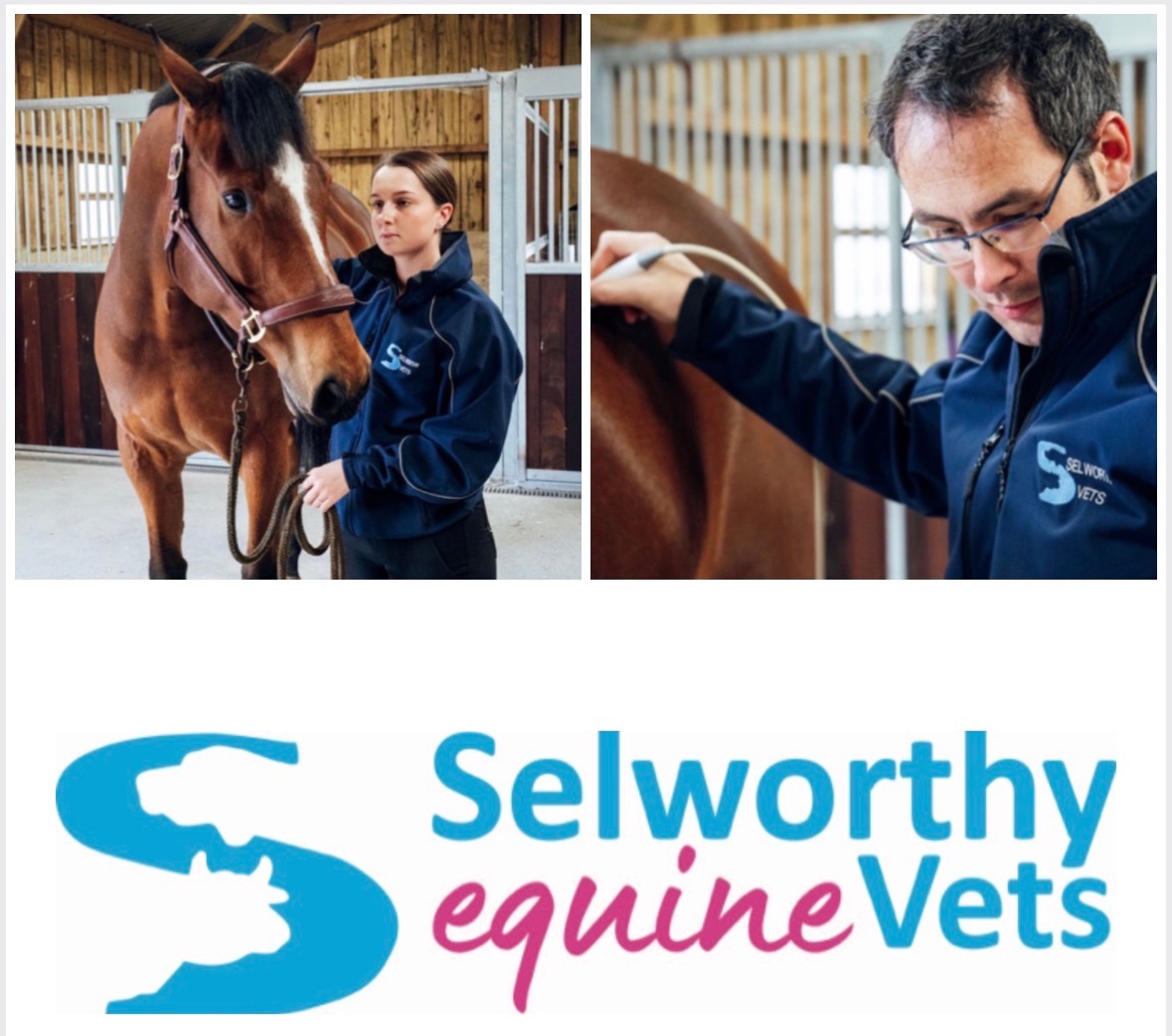 Job: Equine Vet. Selworthy Equine Vets, Devon - Jobs - VetSurgeon.org ...