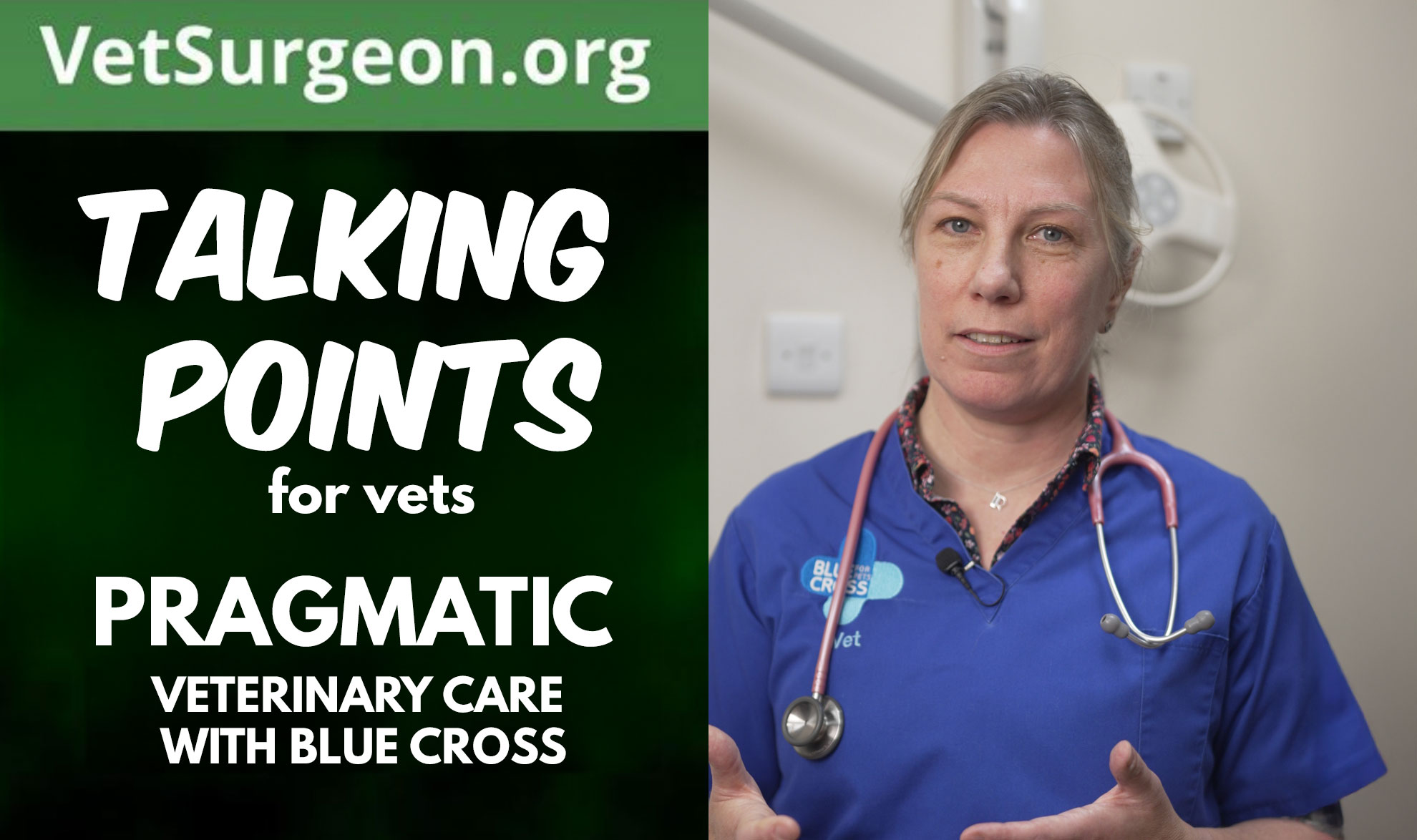 Pragmatic Veterinary Care, Episode 2 - VetSurgeon Talking Points - VetSurgeon.org - VetSurgeon.org
