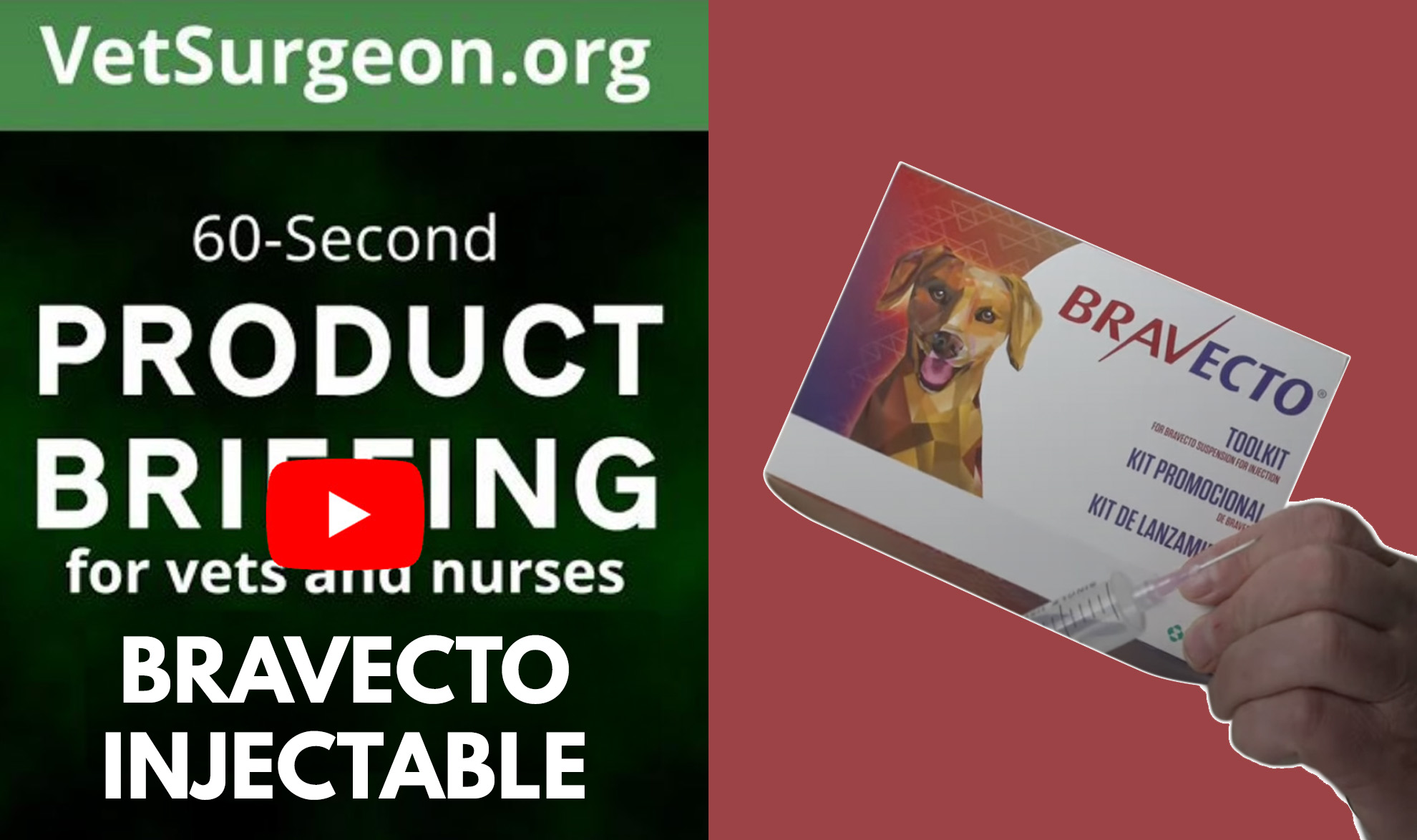 Bravecto Injectable - Veterinary Product Briefing - VetSurgeon.org ...