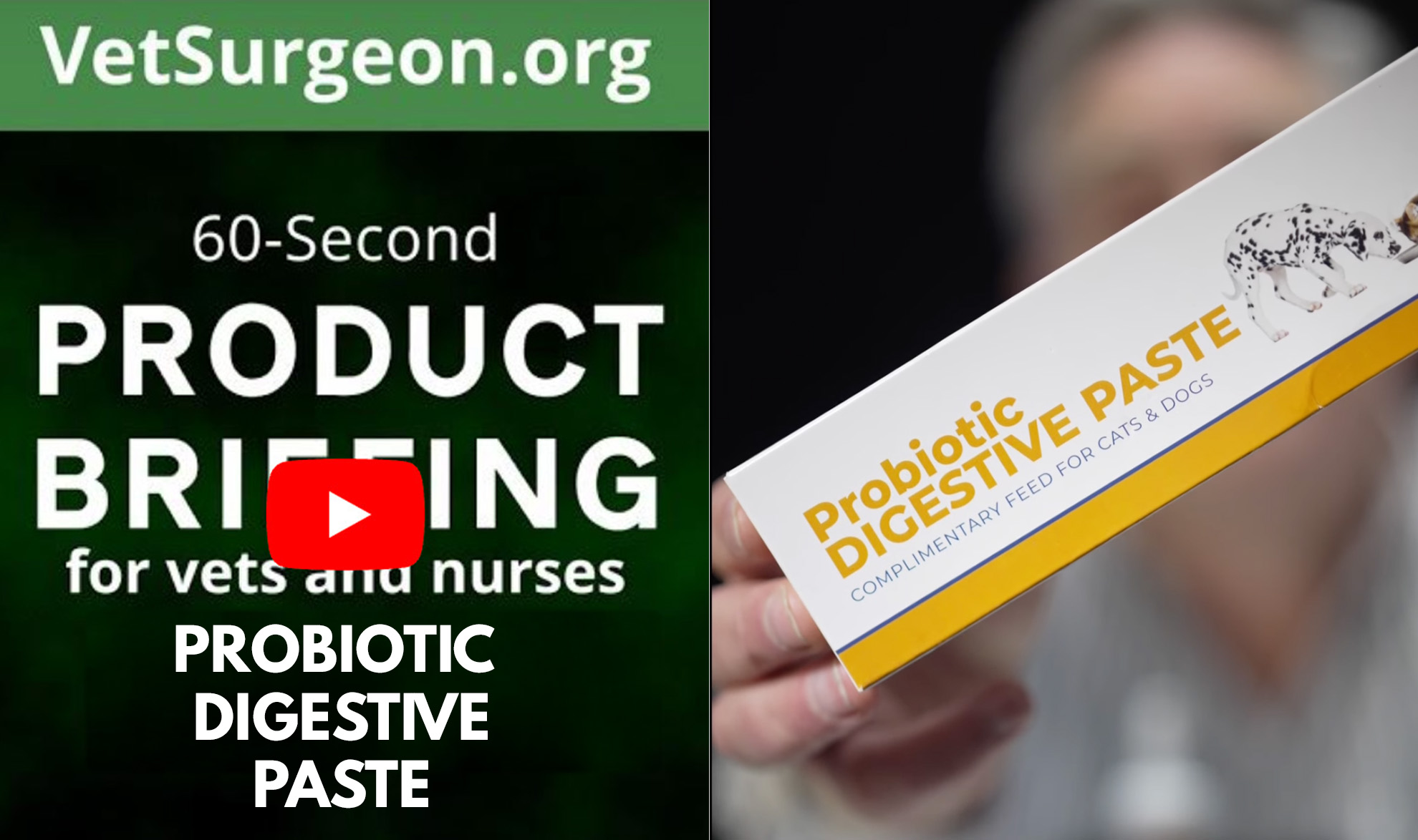 Probiotic Digestive Paste - Veterinary Product Briefing - VetSurgeon.org - VetSurgeon.org