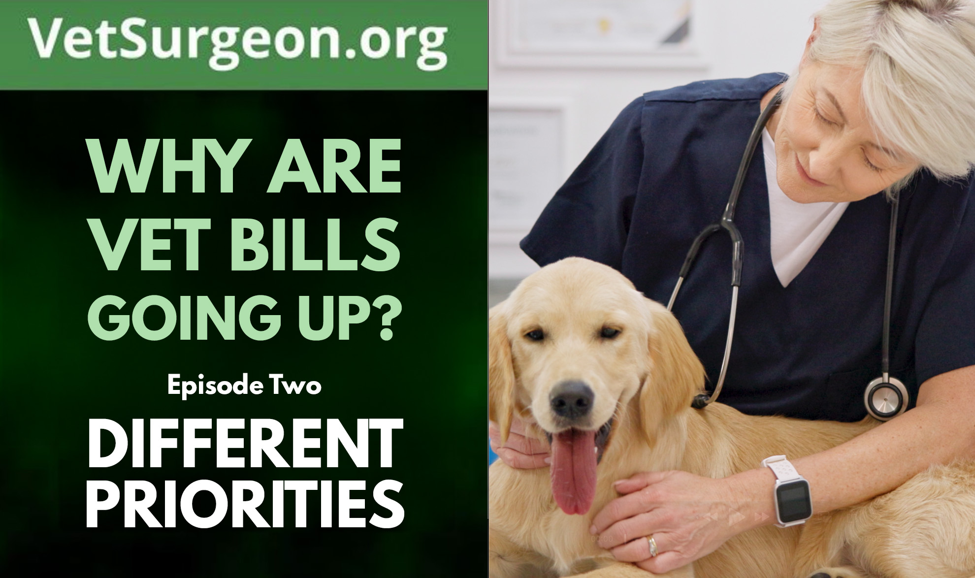 How different priorities can contribute to the cost of veterinary care - The Cost of Veterinary ...