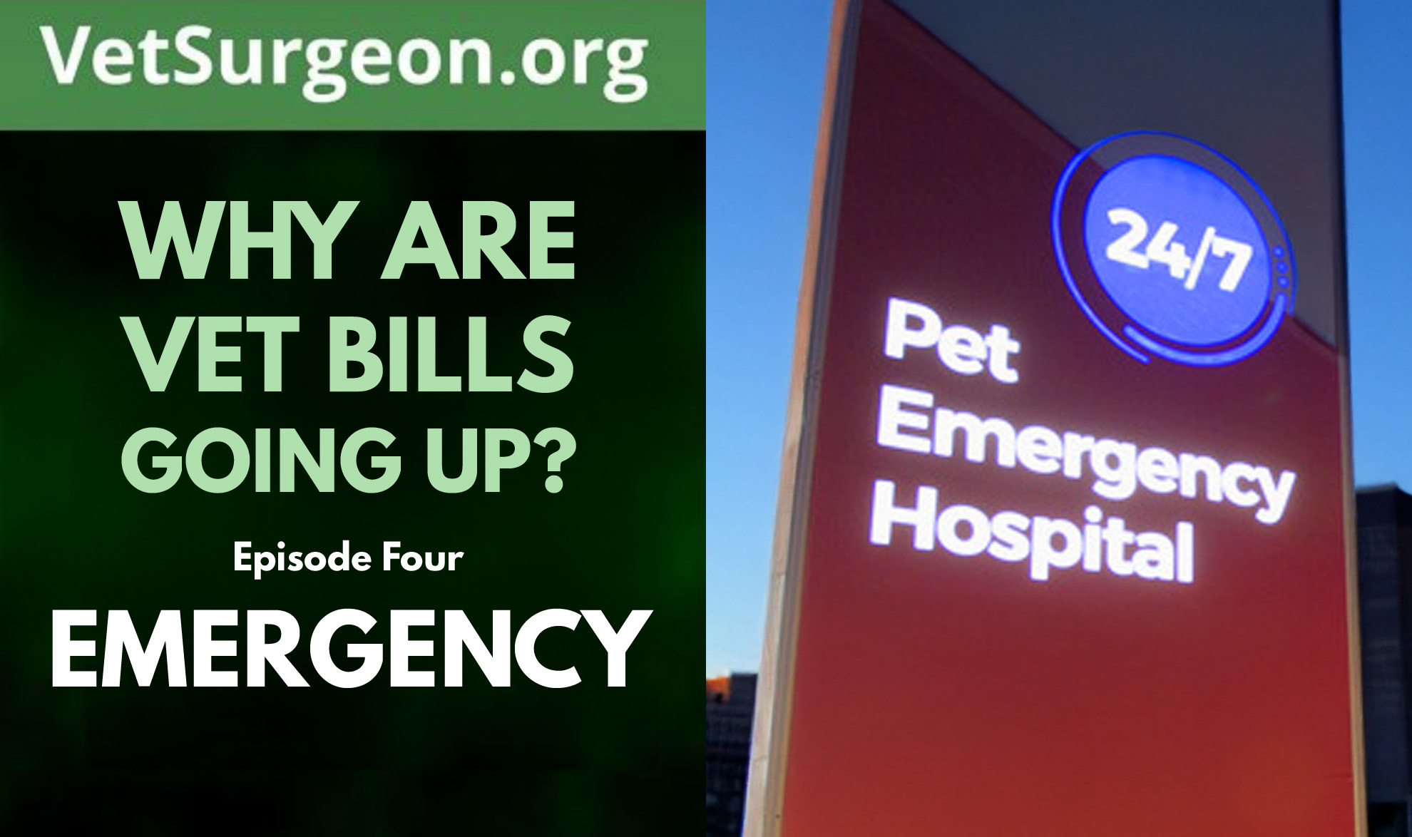 Why emergency veterinary care has got more expensive - The Cost of ...