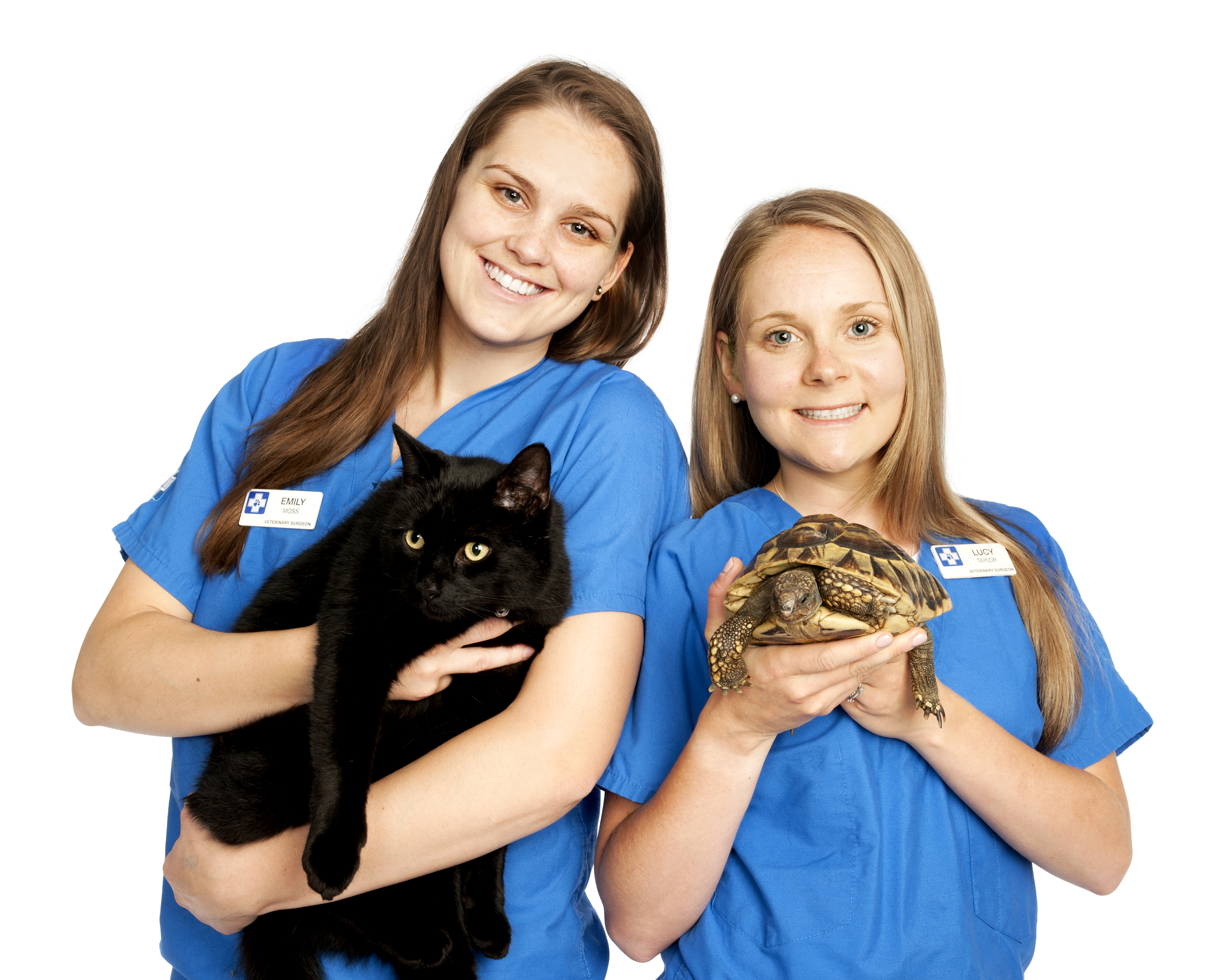 VetGrad - Jobs - The Website For Vets