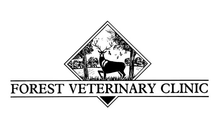Job: Small Animal Vet Ringwood Forest Veterinary Clinic - VetSurgeon.org