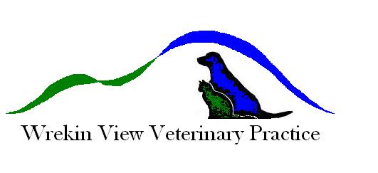 Job: Small Animal Vet Wellington Wrekin View Vets - VetSurgeon.org