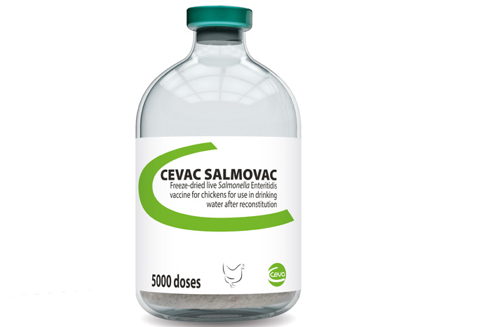Ceva launches Salmonella differentiation test - VetSurgeon News ...