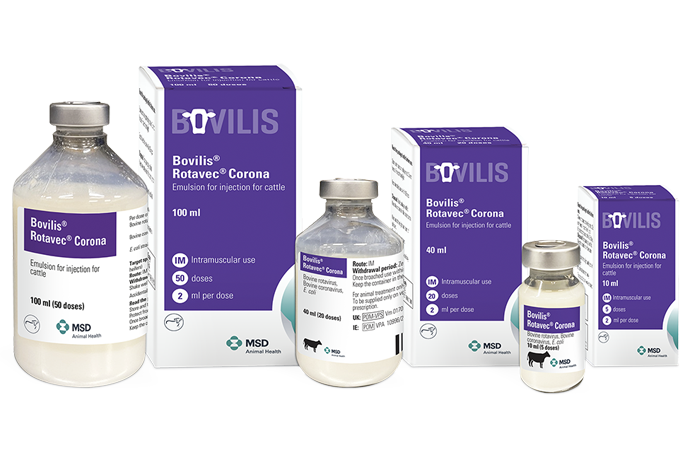 New license claim for Bovilis calf scour vaccine - VetSurgeon News ...