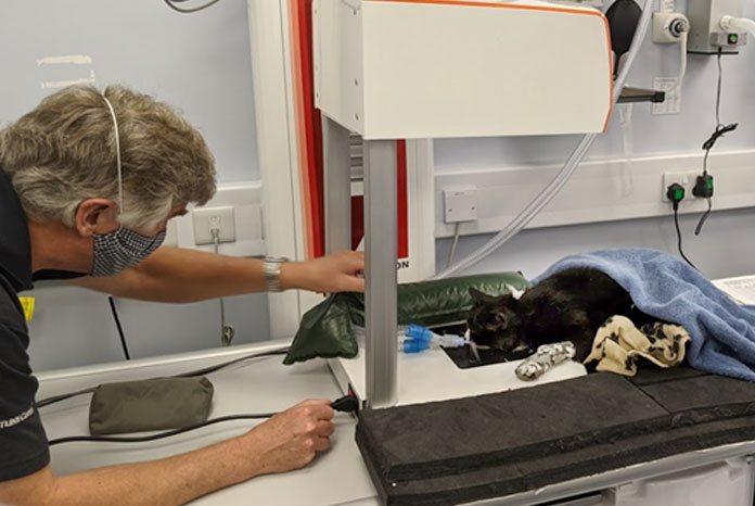 Adaptix launches revolutionary 3D Veterinary Imaging System ...