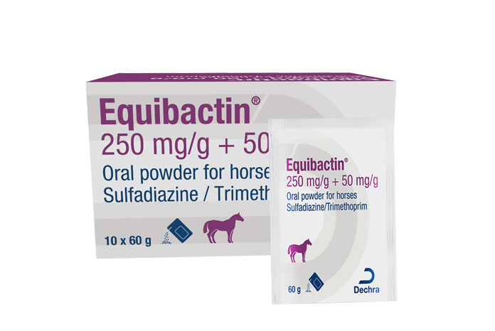 New equine antibiotic powder designed to reduce under-dosing ...