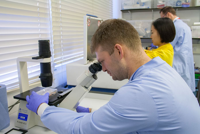 RVC research rated 'world-leading' | Veterinary News | VetSurgeon