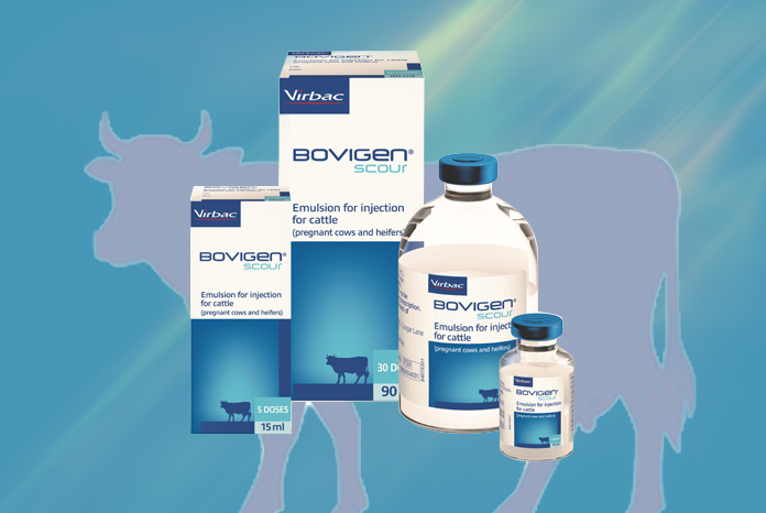 Bovigen Scour now has 10-day shelf-life - VetSurgeon News - VetSurgeon.org - VetSurgeon.org