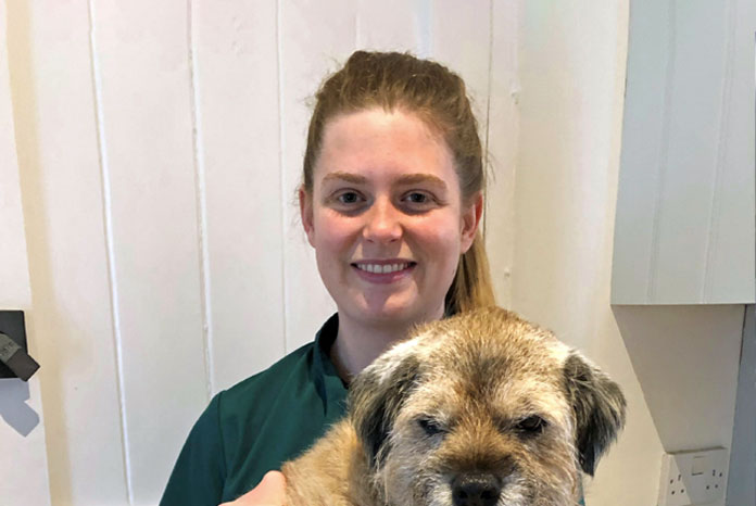 Linnaeus seeks more candidates for its Graduate Development Programme ...