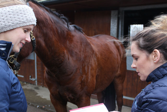 BEVA launches colour-code scheme to tackle equine obesity - VetSurgeon ...