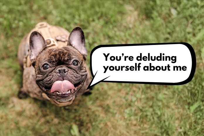 RVC research reveals that owners of brachycephalic breeds are deluding ...