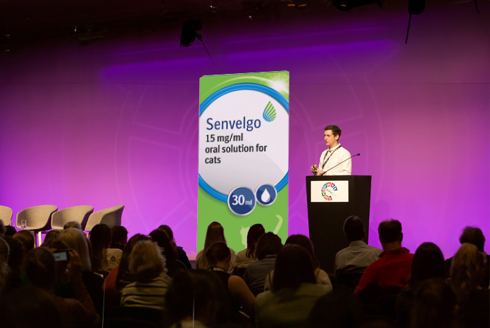 BSAVA Congress to examine hypoglycaemic agents for feline diabetes ...