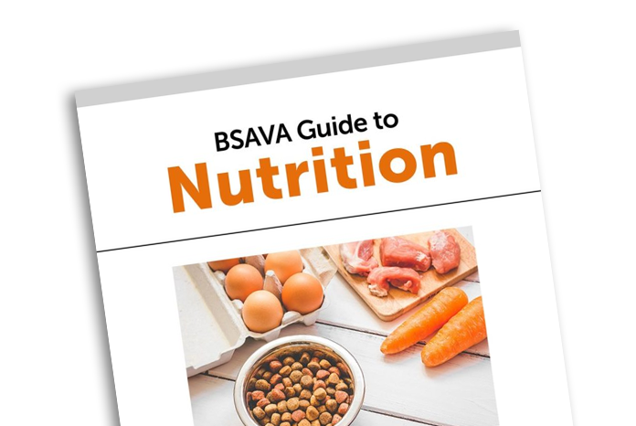 BSAVA expands nutrition guide | Veterinary News | VetSurgeon