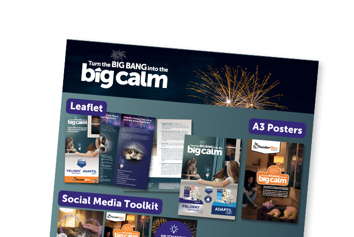 Ceva launches fireworks marketing support pack - VetSurgeon News ...