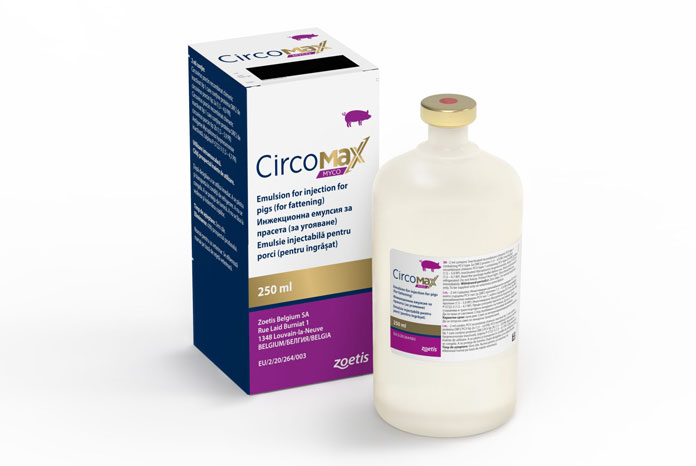 New vaccine offers broader coverage against PCV2 - VetSurgeon News ...