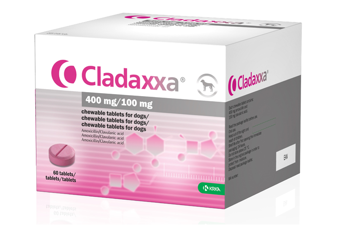New first line antibiotic for cats and dogs | Veterinary News | VetSurgeon