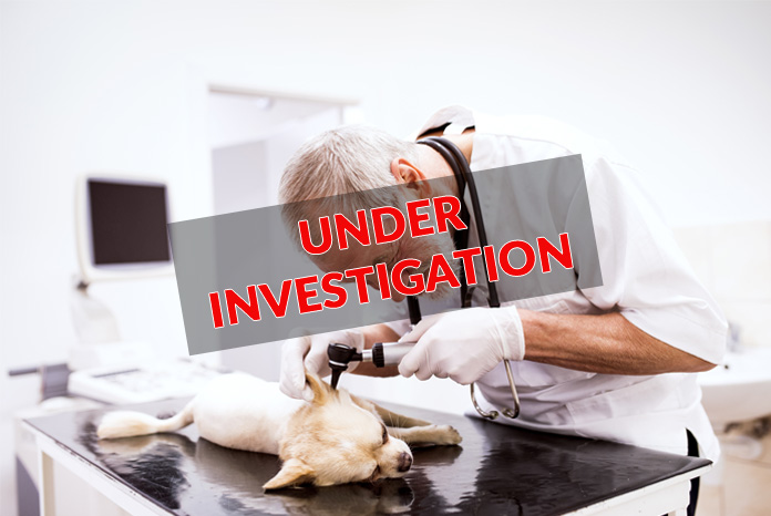 Competition and Markets Authority investigates veterinary sector ...