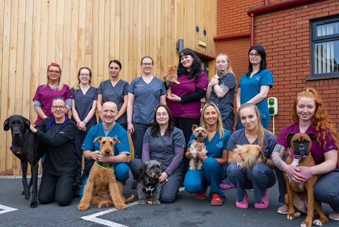 Kent veterinary practice inspires Belfast practice to become employee ...