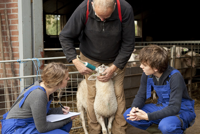 CVS launches EMS placement online booking system | Veterinary News ...