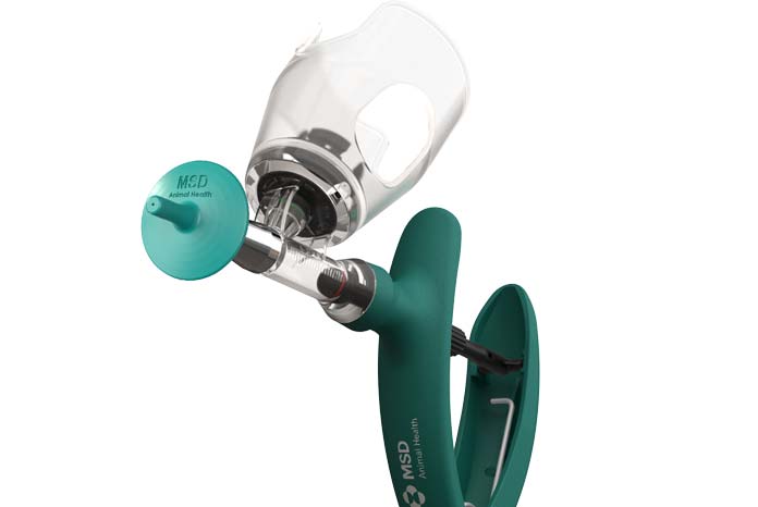 MSD launches new injector for calf pneumonia vaccine - VetSurgeon News ...