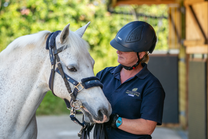 CVS makes PPE compulsory for equine vets | Veterinary News | VetSurgeon