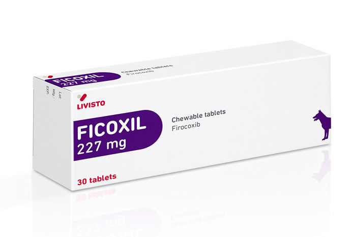 Forte launches Ficoxil NSAID for dogs - VetSurgeon News - VetSurgeon ...