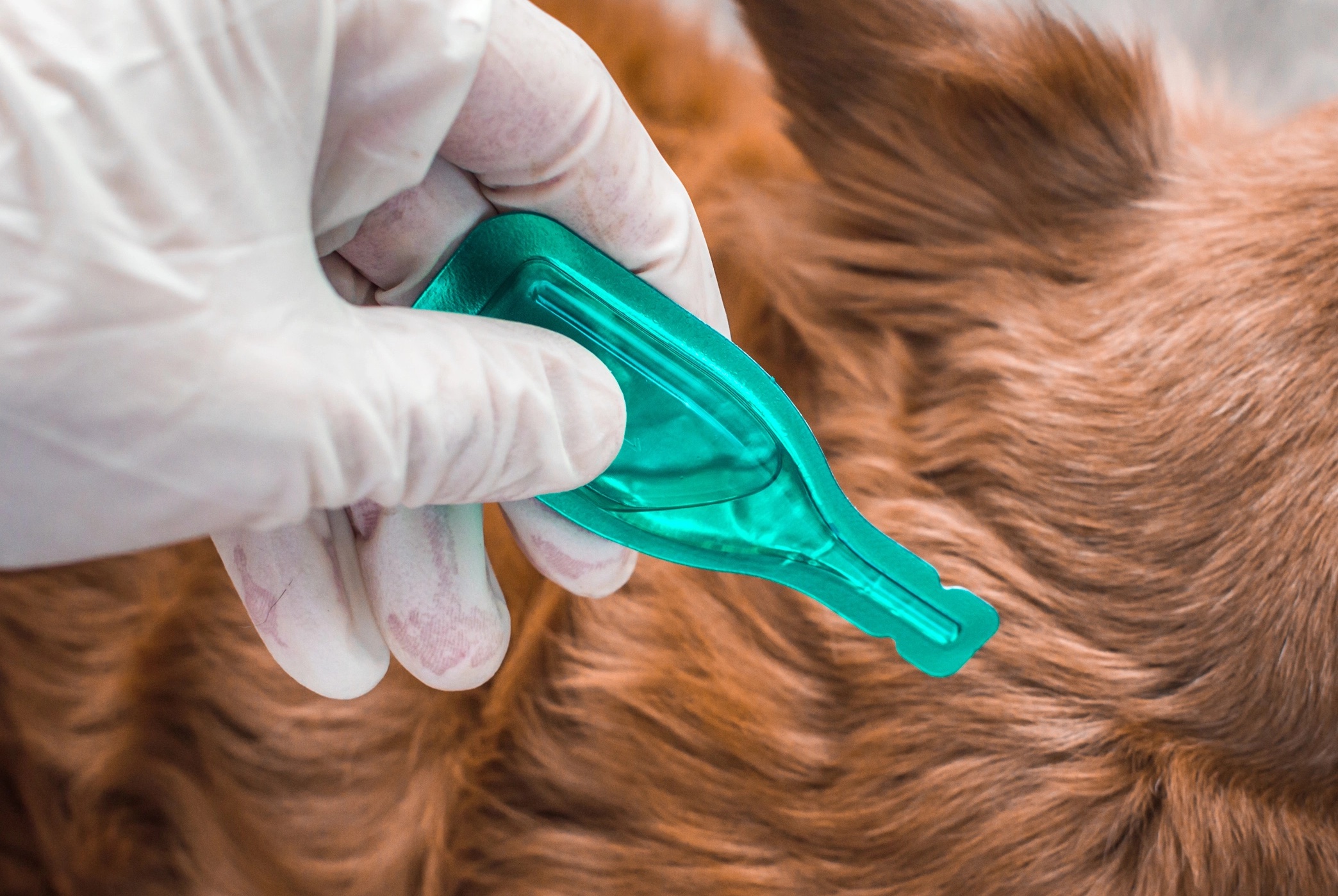 New initiative seeks to make vets rethink their approach to ...