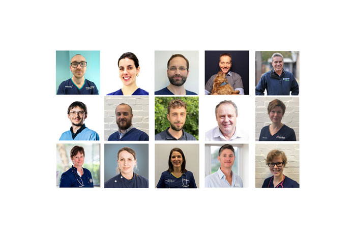 IVC plans to shake up London Vet Show - VetSurgeon News - VetSurgeon ...