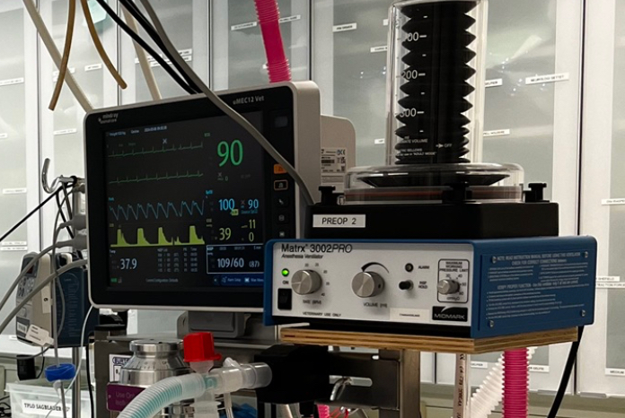 IVC Evidensia invests £500,000 to support adoption of more sustainable ...