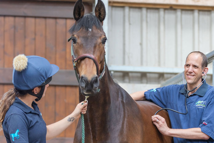 IVC moves to offer more engaging online CPD - VetSurgeon News ...