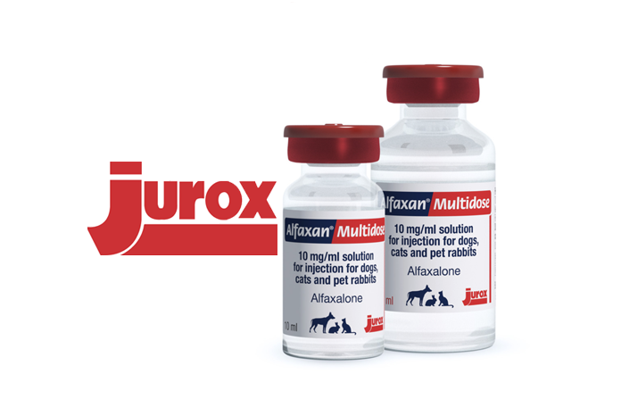 Zoetis acquires Jurox Animal Health - VetSurgeon News - VetSurgeon.org ...
