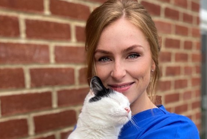 New feline health webinar series for vets - VetSurgeon News - VetSurgeon.org - VetSurgeon.org