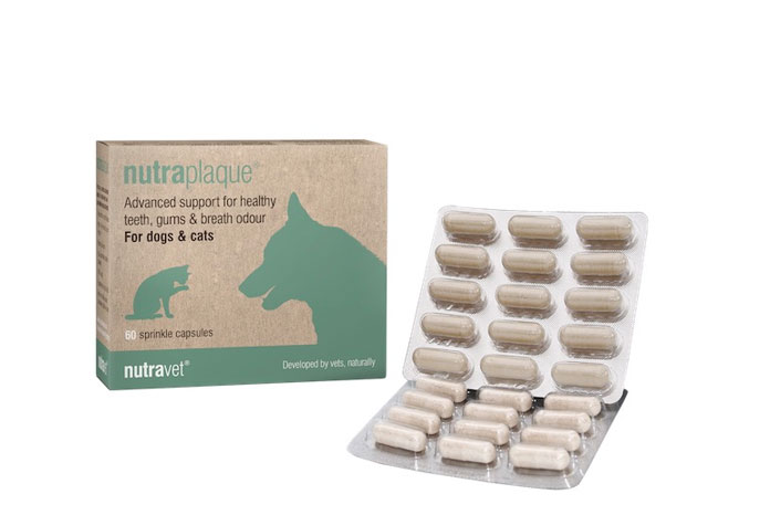 Nutravet launches new oral health product - VetSurgeon News ...
