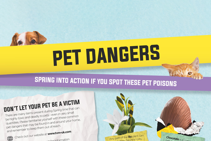 New pet poisoning poster for vet practices - VetSurgeon News ...