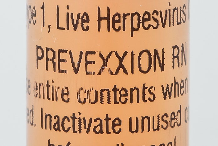 Boehringer launches next-gen Marek's vaccine - VetSurgeon News ...