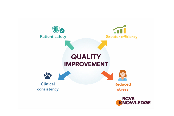 RCVS Knowledge confirms dates and venues for hands-on QI training in ...
