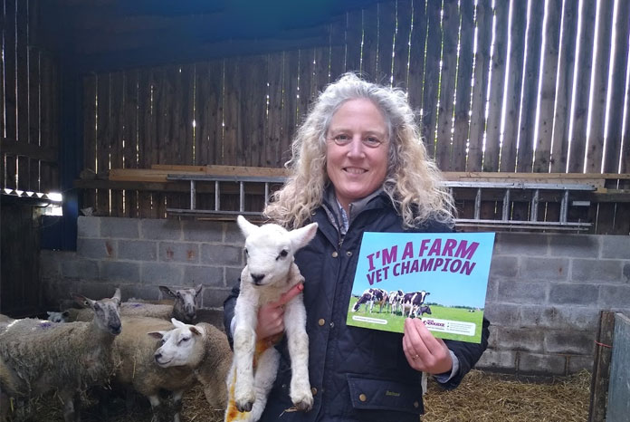 New training for farm vets on good antimicrobial stewardship ...