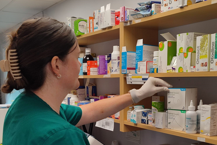 Free course to help veterinary teams improve medication safety in ...