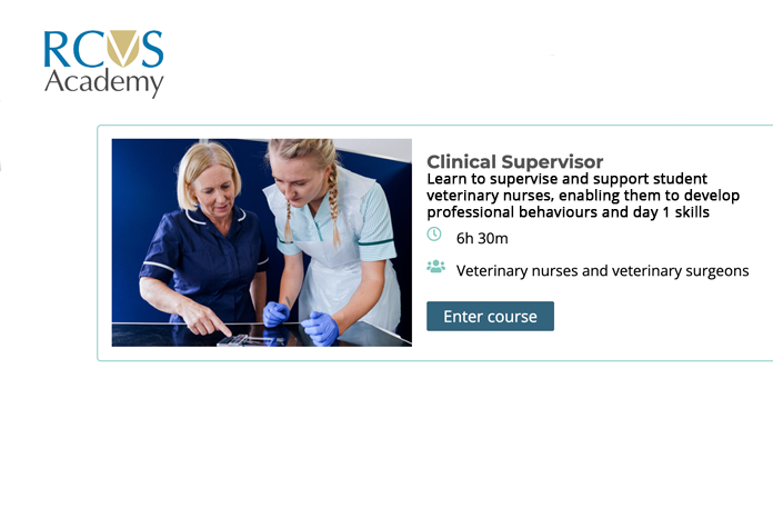 RCVS launches free training course to help vets train student nurses ...