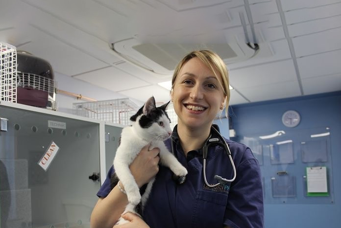 Vets invited to inappetence breakfast meeting at ISFM Feline Congress ...