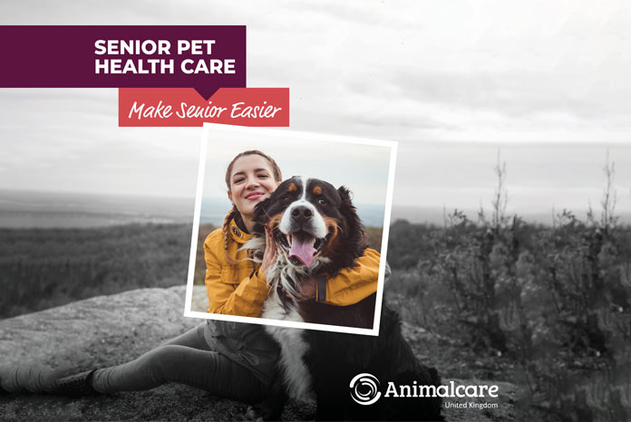 New campaign to help vet practices support owners of older pets ...