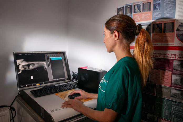 CVS delegates diagnostic imaging to veterinary nurses - VetSurgeon News ...
