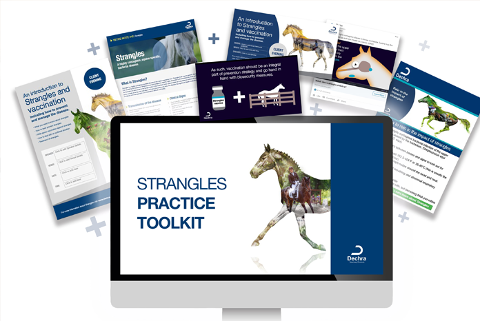 New strangles toolkit for veterinary practices - VetSurgeon News ...