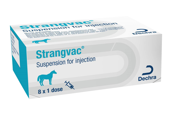 Dechra launches novel strangles vaccine - VetSurgeon News - VetSurgeon ...