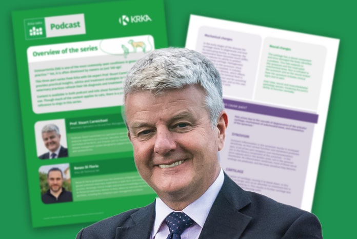 Prof Stuart Carmichael and Krka's new OA resources for vet teams ...